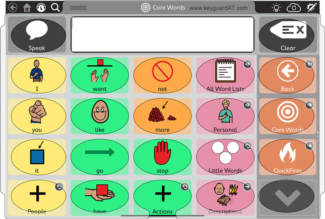 TD Snap Keyguard – Keyguard Assistive Technology